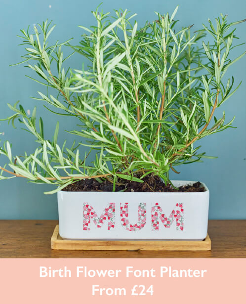 Introducing our BRAND NEW birth flower font collection 💐 - This Is Nessie