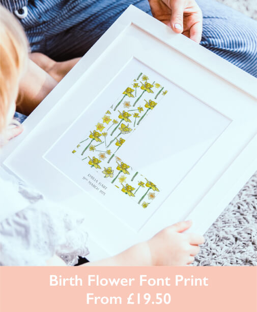 Introducing our BRAND NEW birth flower font collection 💐 - This Is Nessie